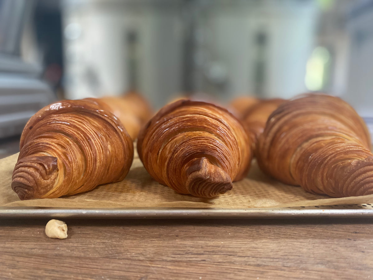 Introduction to Viennoiserie – Forge House Bakery