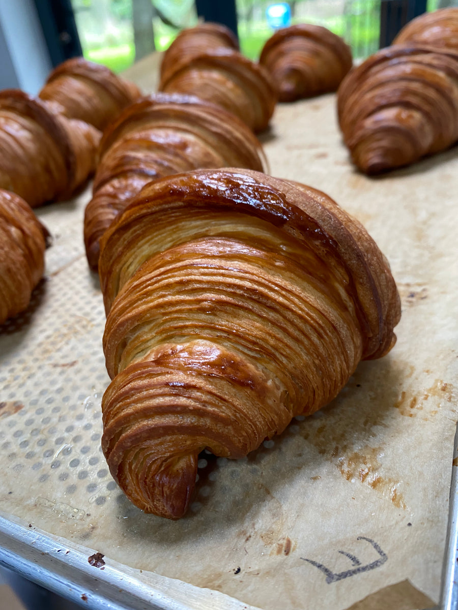 Introduction to croissants and laminated pastries – Forge House Bakery