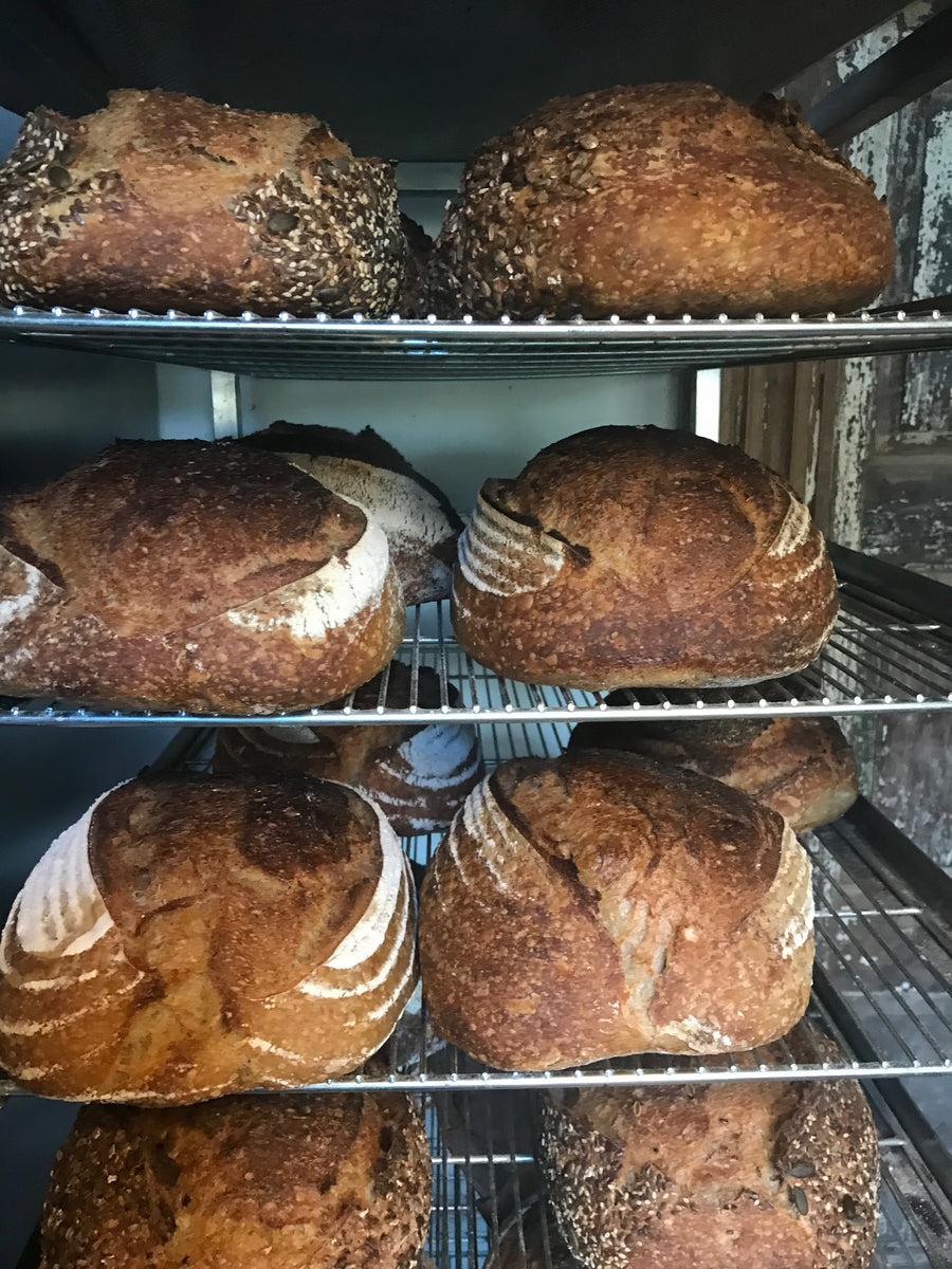 Introduction to Sourdough workshop – Forge House Bakery